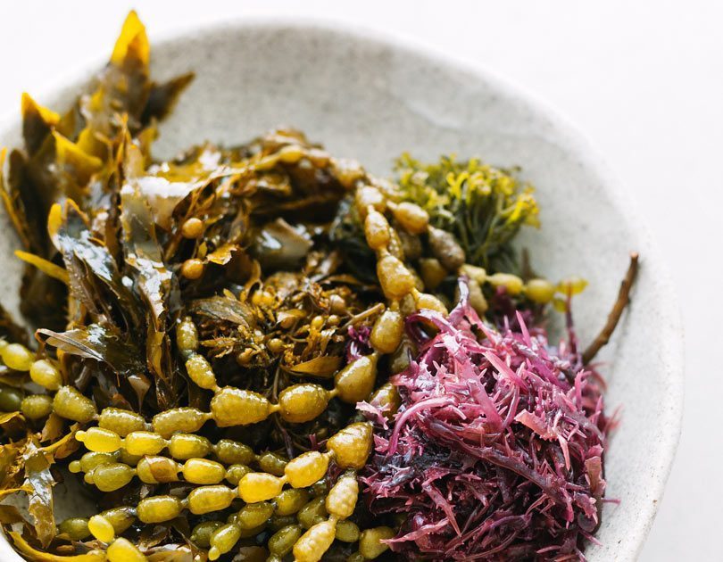 THE GOOD WEED - Cuisine - For the love of New Zealand food