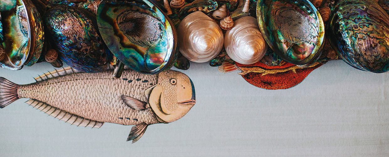 Cuisine - For the love of New Zealand food