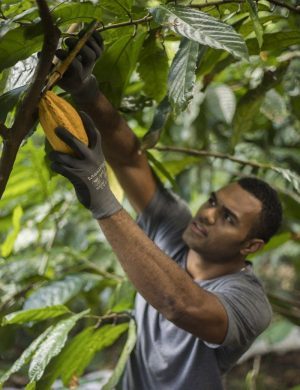 Fiji is the home for Foodie Experiences - Cuisine Magazine - From New ...