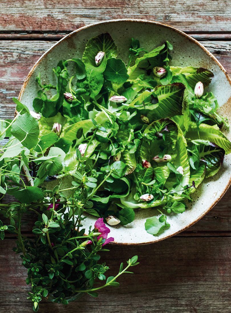 A Beautiful Green Salad With My Favourite Salad Dressing - Cuisine ...