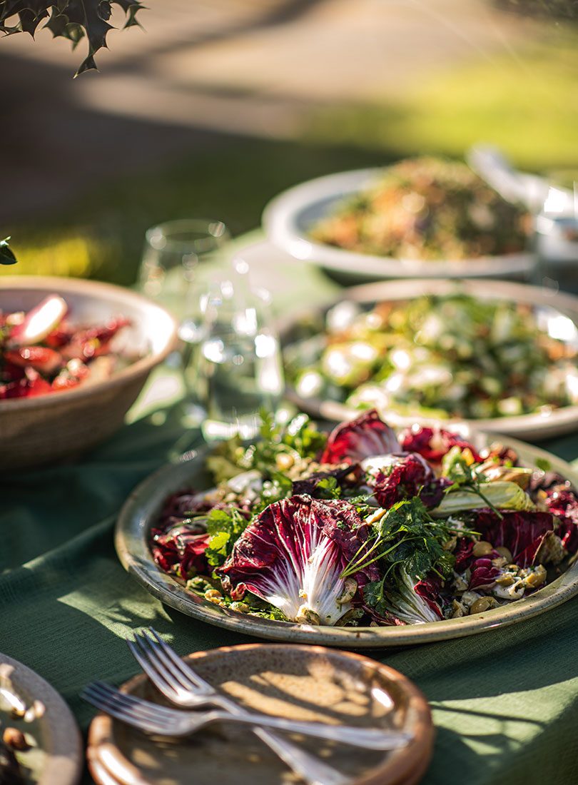 Green Radicchio