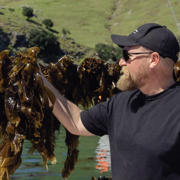 Head to the coast with our foraging guide - Cuisine Magazine - From New ...