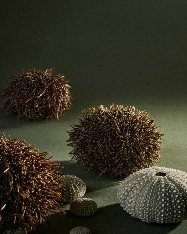 Give A Man A Fish. . . - Cuisine Magazine - From New Zealand to the World